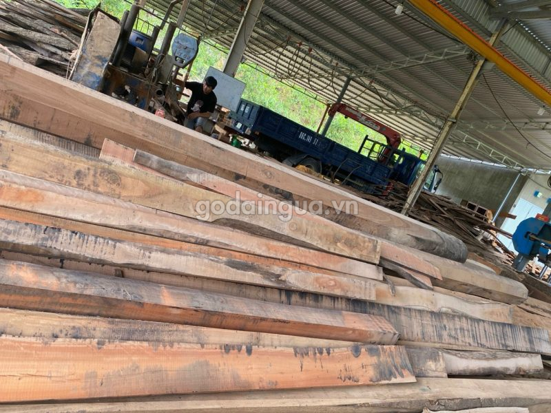 Gỗ Bạch Đàn - Chuyên cung cấp gỗ bạch đàn xẻ quy cách